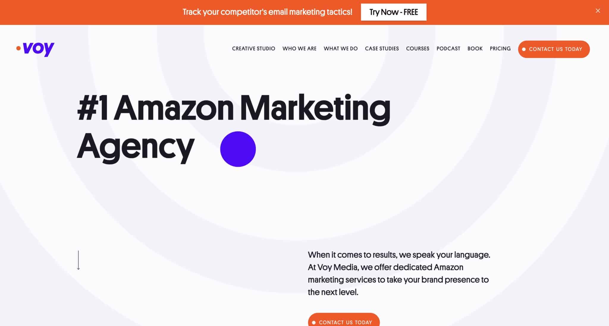 Top 14 Amazon Marketing Full Service Agencies in the US