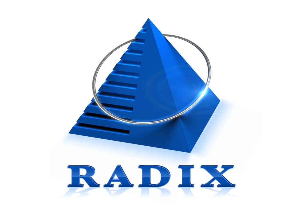 Radixweb: Reviews, Details & Pricing